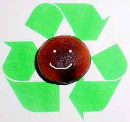 Growing Mucunas – Greenbean